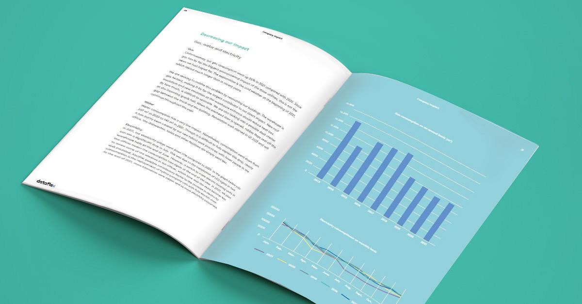 The Sustainability Report 2021 is online now! | Dataflex